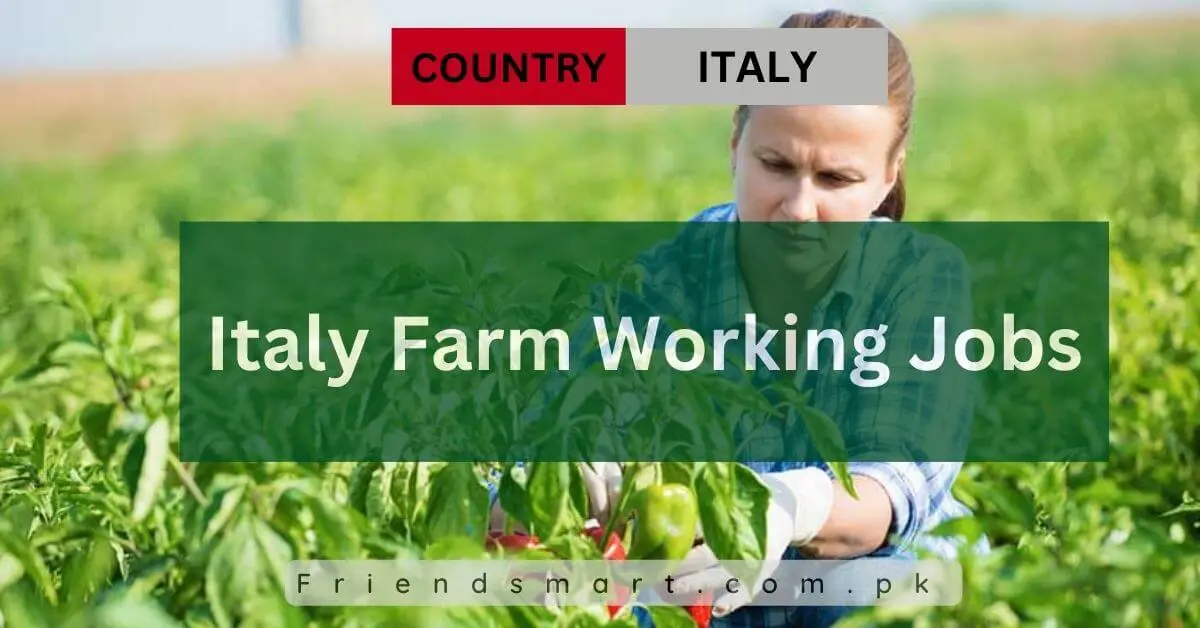 Italy Farm Working Jobs 2025 Visa Sponsorship - Apply Now