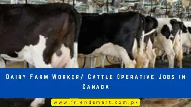 Canada Jobs 2024