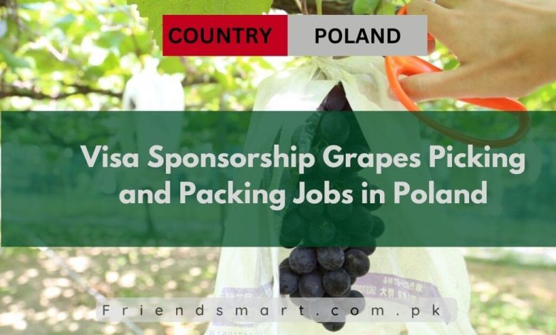 Visa Sponsorship Jobs