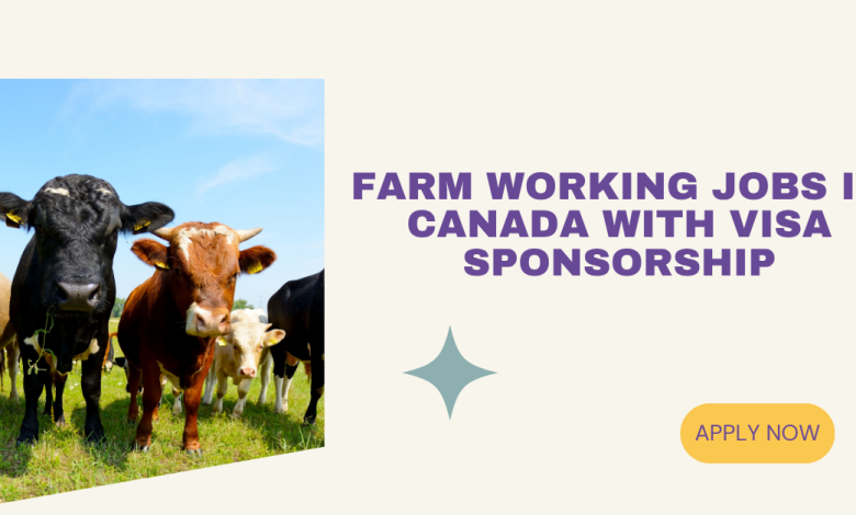 Farm Working Jobs in Canada with Visa Sponsorship 2025
